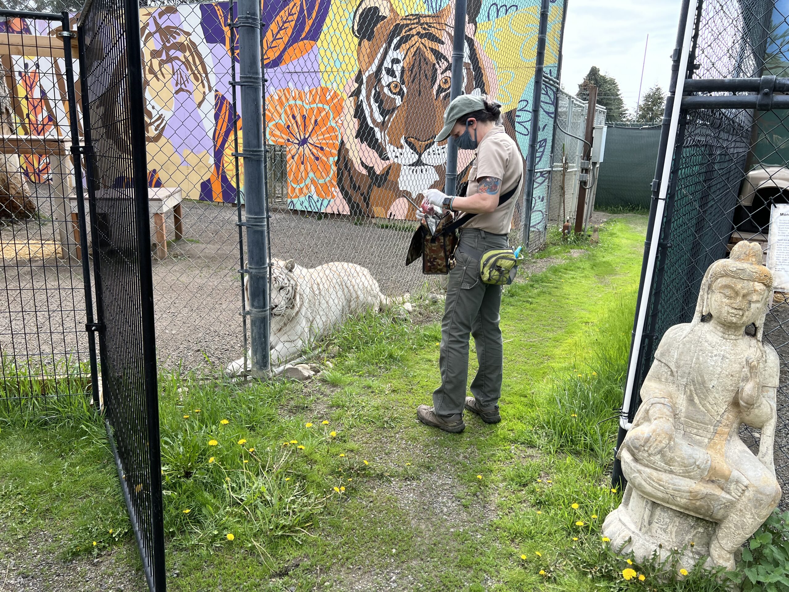 Zookeeper Training in Today’s Age - Cat Tales Wildlife Academy
