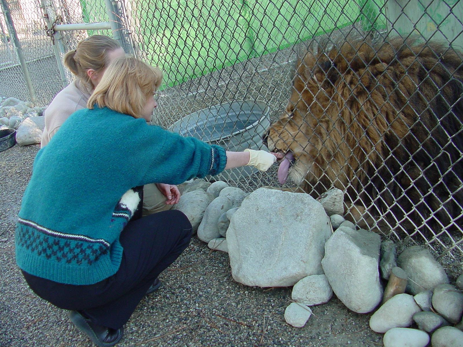 Exploring Advanced Techniques: A Guide to Hands-on Zookeeper Training ...