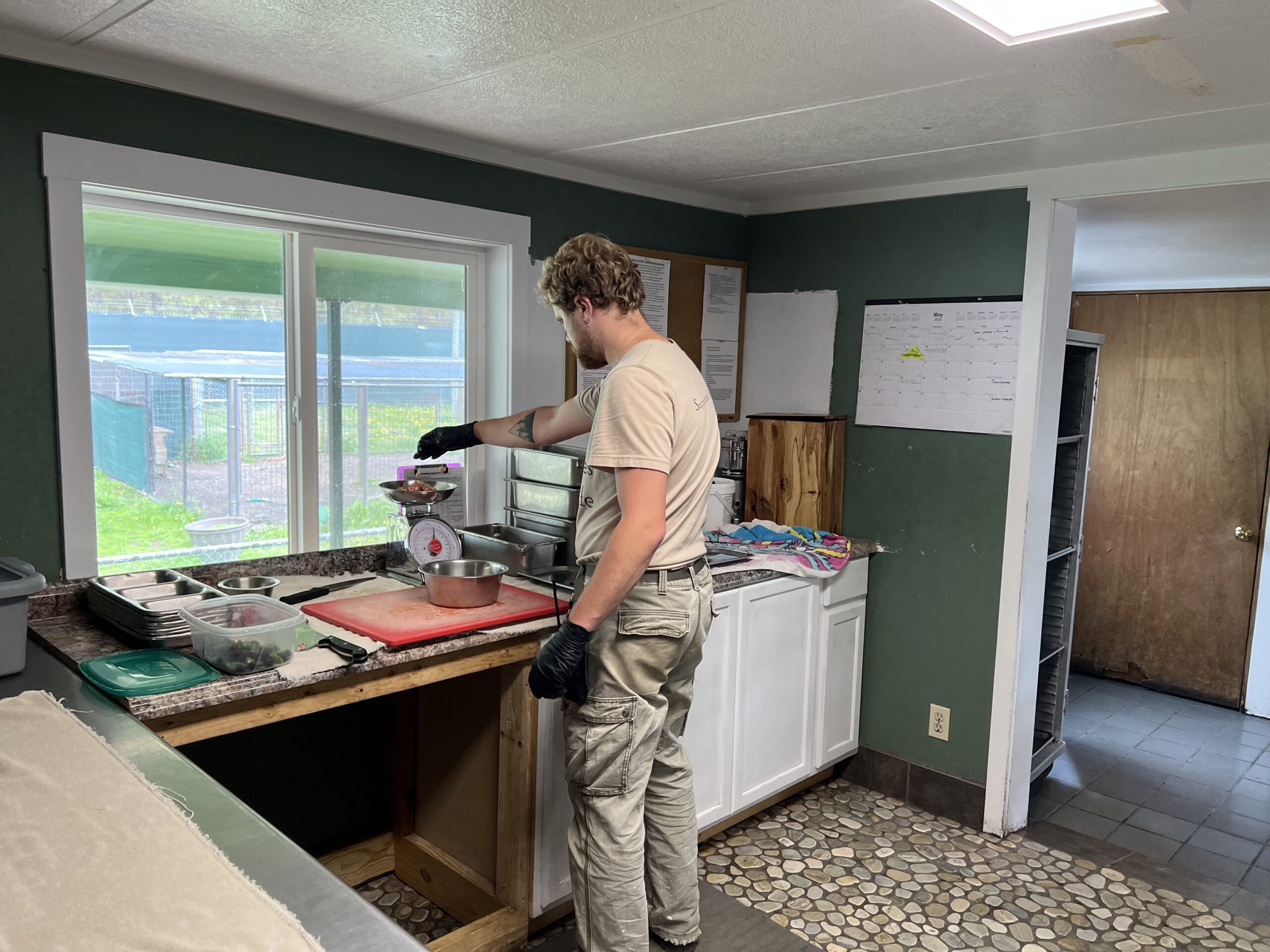 Crafting Carnivore Cuisine in the Zoo Kitchen: - Cat Tales Wildlife Academy