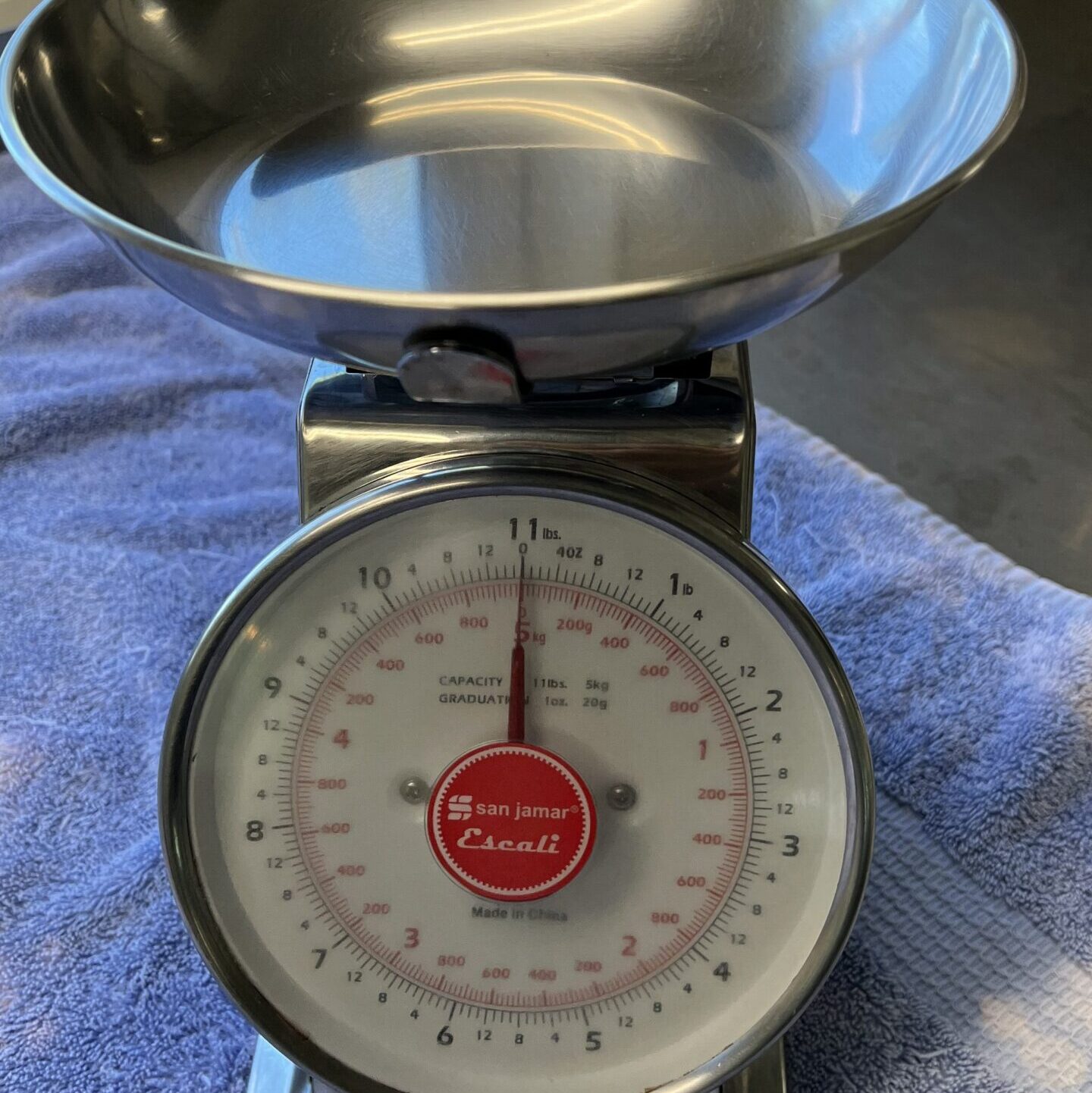 Crafting Carnivore Cuisine in the Zoo Kitchen: - Cat Tales Wildlife Academy